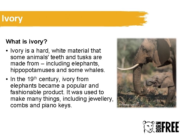 Elephants in Crisis Lesson 2 Threats Learning Objectives