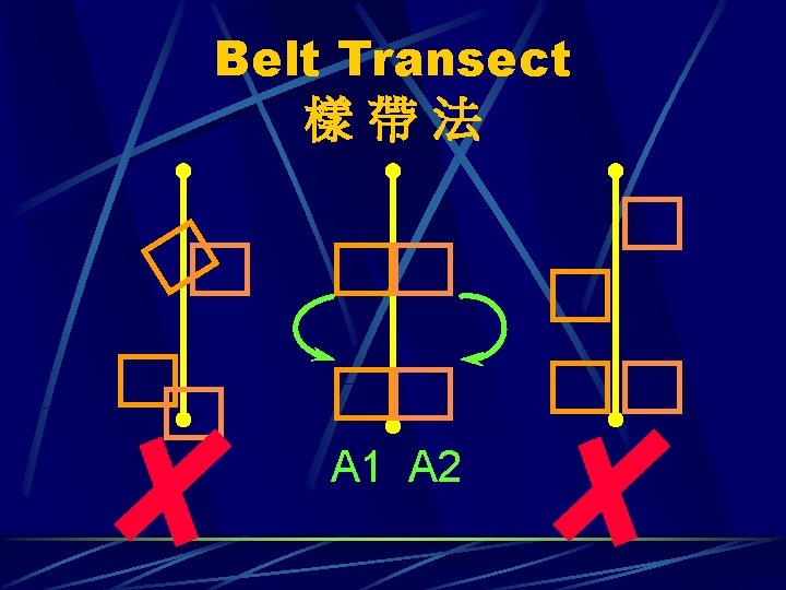 Mangrove Aims Objectives l To familiarize the structure