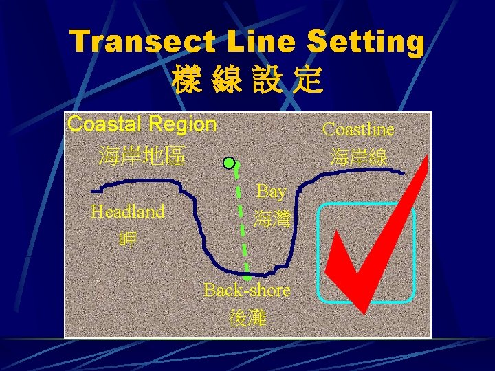 Mangrove Aims Objectives l To familiarize the structure