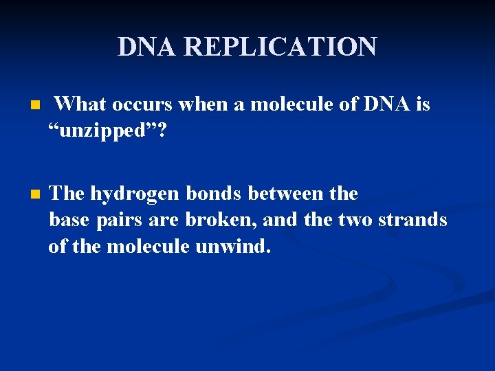 Chromosomes and DNA Replication Section 12 2 This