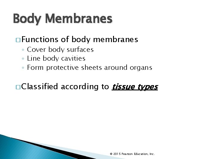 Chapter 4 Skin and Body Membranes Lecture Presentation