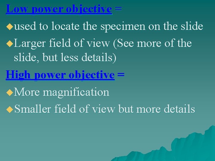 DO NOW Explain this cartoon in your own