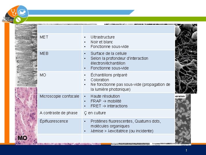 UE 8 Biologie cellulaire et histologie Exemple du