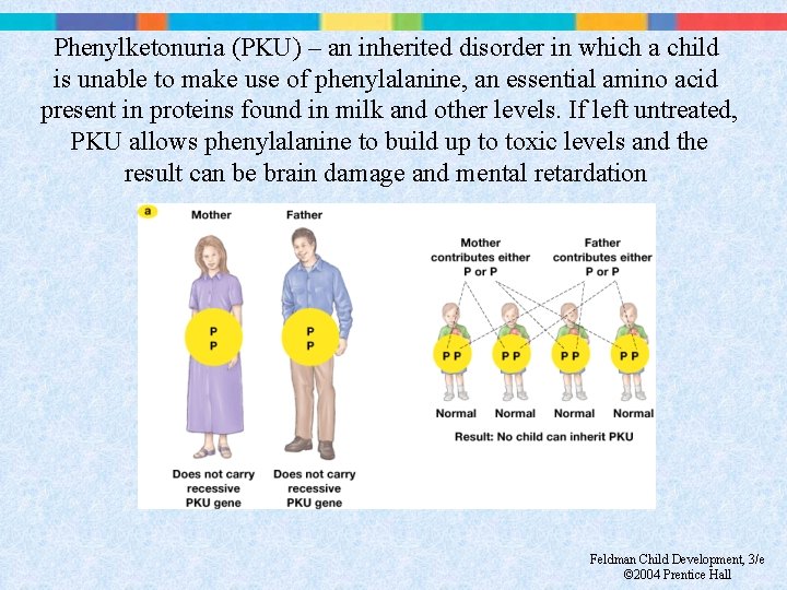 Child Development 3e by Robert Feldman Chapter 3