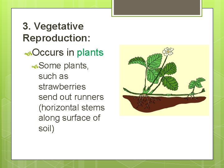 2 6 Cell Division and Asexual Reproduction Reproduction