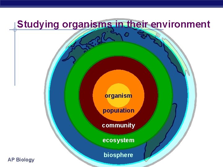 AP Biology Ecosystems Studying organisms in their environment