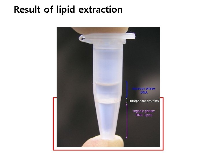 Membrane Lipids 1Phospholipid 2Glycolipid 3Cholesterol Classifying ...