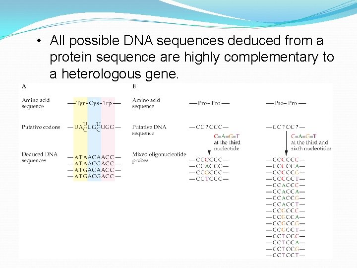Chemical Synthesis Amplification and Sequencing of DNA Part