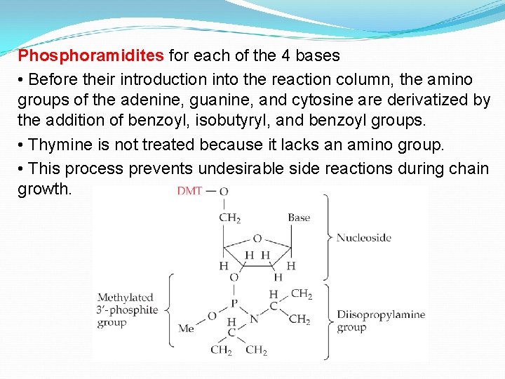 Chemical Synthesis Amplification and Sequencing of DNA Part
