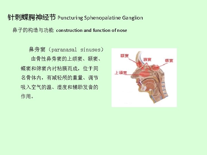 Treatment of Rhinitis by puncturing Sphenopalatine Ganglion Prof