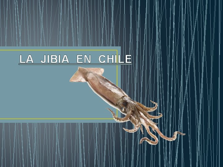 LA JIBIA EN CHILE Conocimientos Generales v Principales