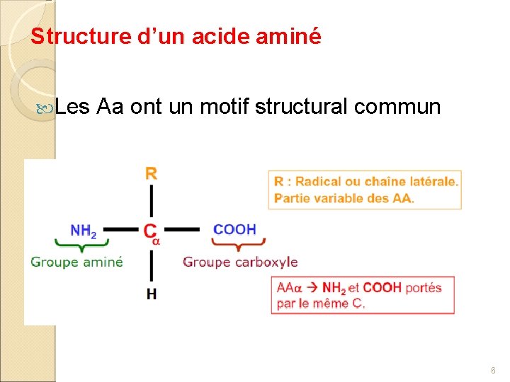 Biochimie Acides Amins Peptides et Protines Pr Chikouche