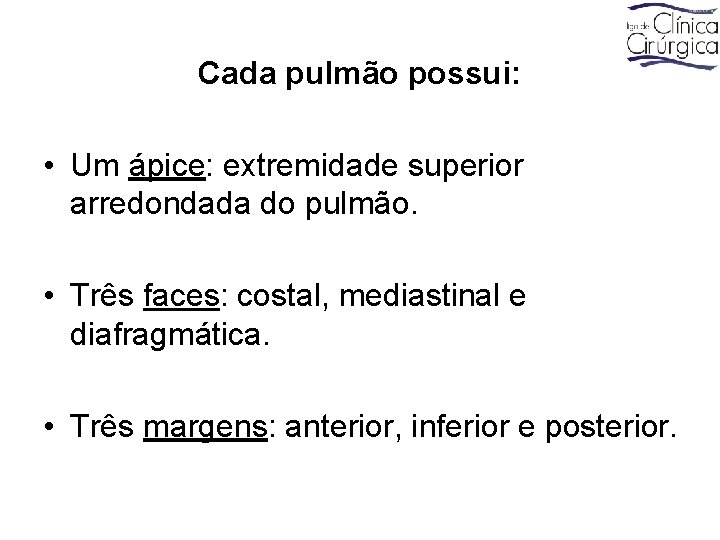 Anatomia do Pulmo Lvia Freitas Oliveira 3 perodo