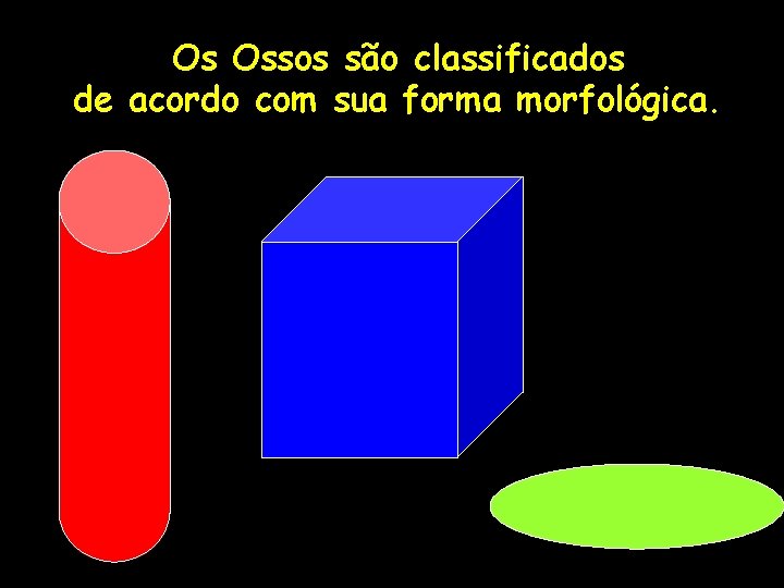 SISTEMA ESQUELTICO OSTEOLOGIA Homem transparente Ossos Os ossos