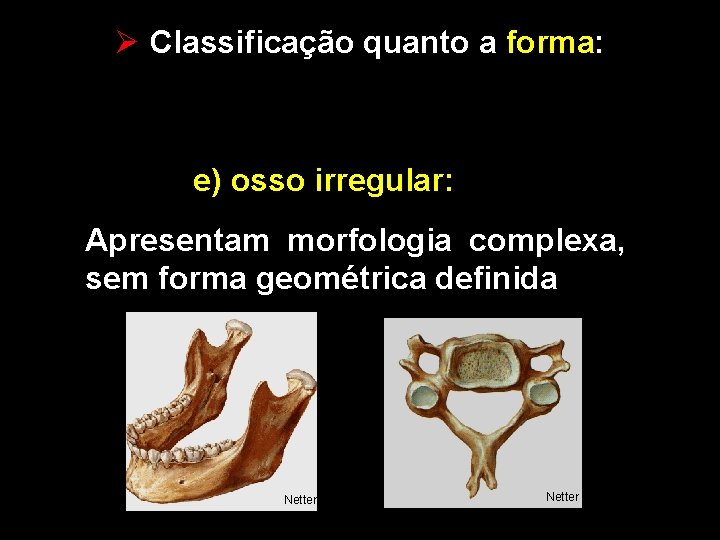 SISTEMA ESQUELTICO OSTEOLOGIA Homem transparente Ossos Os ossos