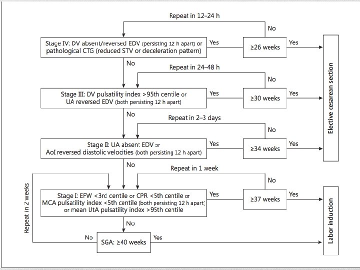 THEORY QUESTIONS Model answers What is birth asphyxia