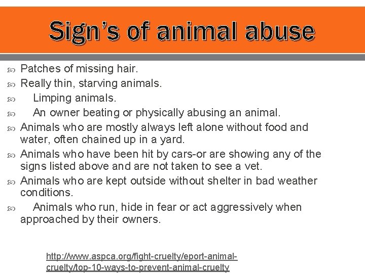 No Excuse for Animal Abuse Signs of animal