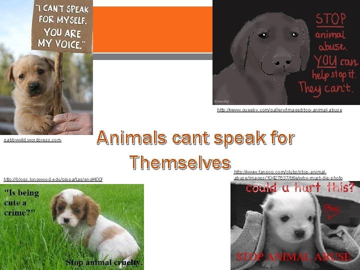 No Excuse for Animal Abuse Signs of animal
