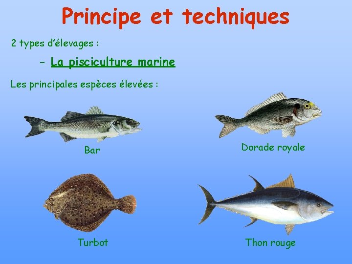 Sommaire Introduction 1 Les objectifs de la pisciculture