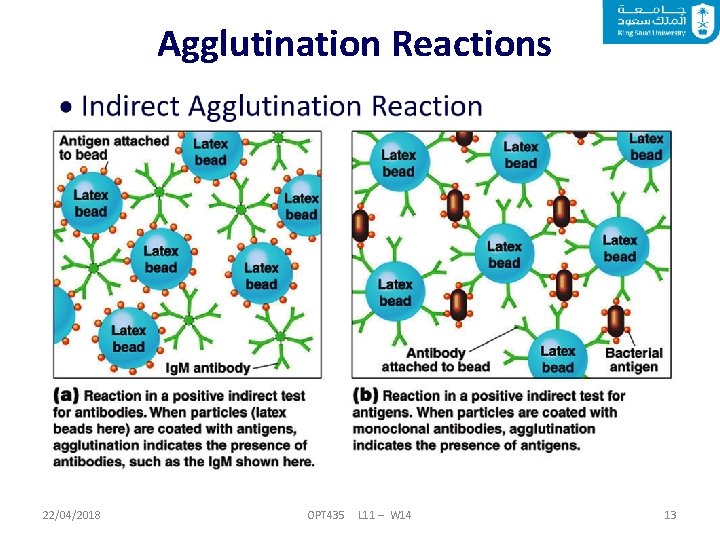 OPTO 435 Microbiology II Gamal ElHiti Diagnostic Methods