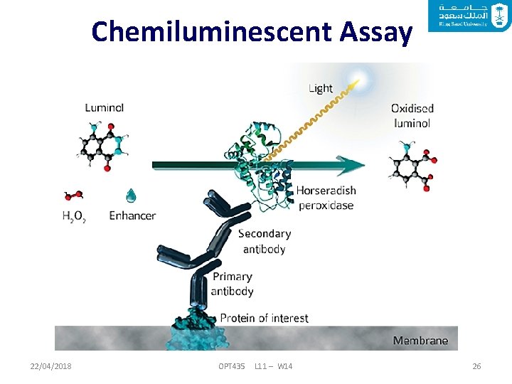 OPTO 435 Microbiology II Gamal ElHiti Diagnostic Methods