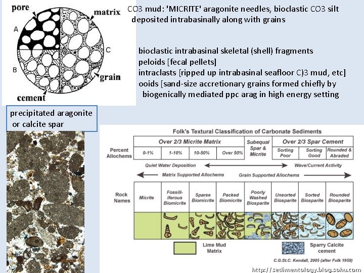 The World of Carbonates Paleozoic shelf carbonate section