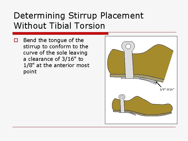 Determining Stirrup Placement For an AFO Without Tibial