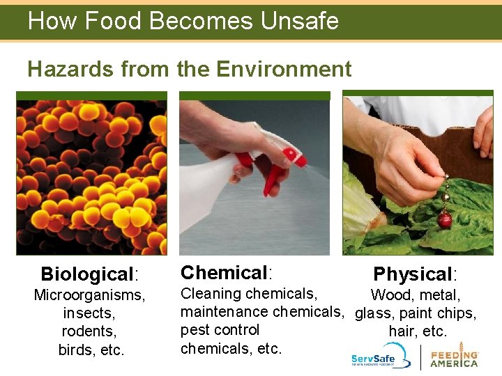 Training Agenda Welcome and Overview Why Food Safety