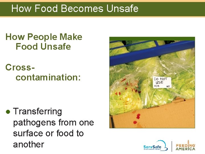 Training Agenda Welcome and Overview Why Food Safety