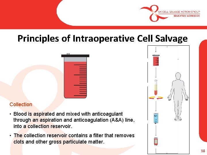 Intraoperative Cell Salvage Basic Blood Facts Blood Conservation