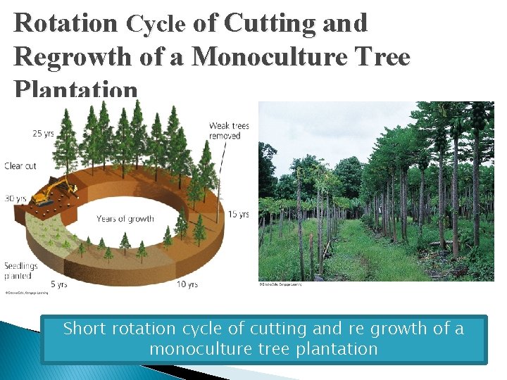Chapter 10 Sustaining Terrestrial Biodiversity The Ecosystem Approach