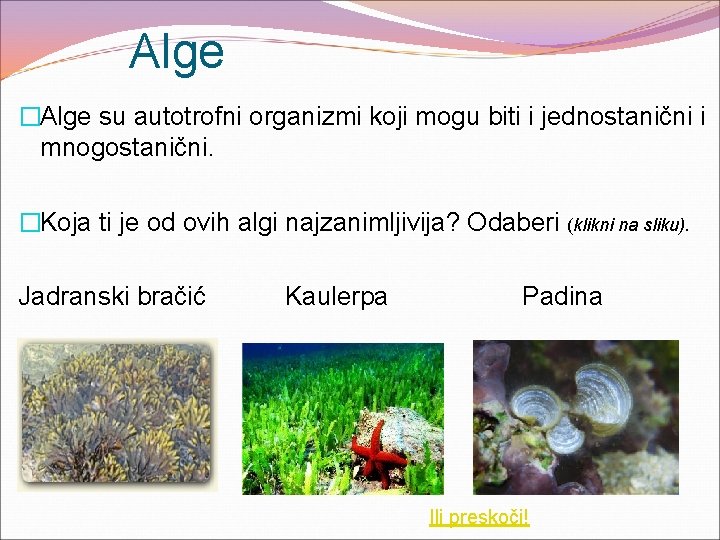 BIOLOGIJA Praivotinje i ostale mnogostanine ivotinje OSNOVE BIOLOGIJE