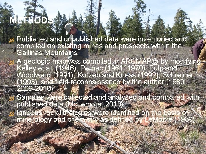 GEOLOGY AND MINERAL DEPOSITS OF THE GALLINAS MOUNTAINS