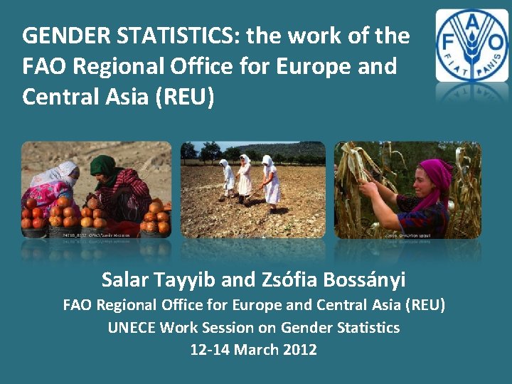 GENDER STATISTICS the work of the FAO Regional