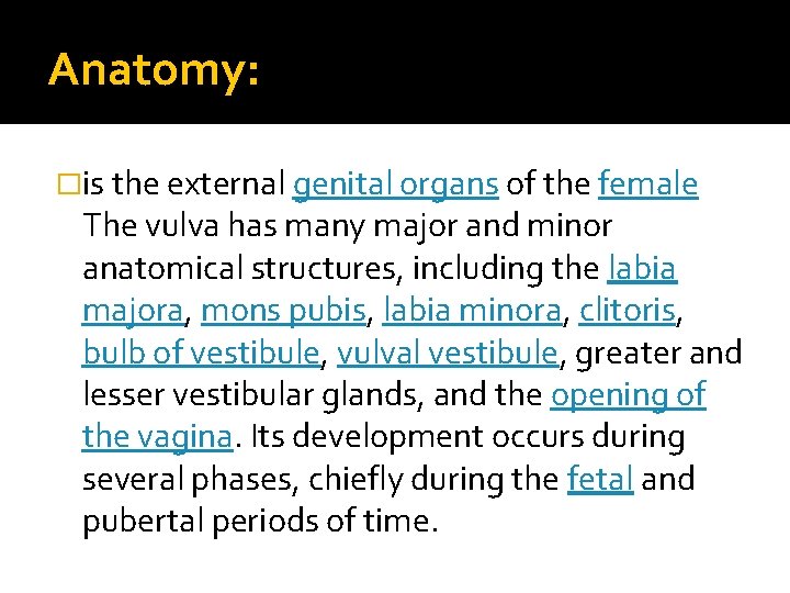 Dr ishraq mohammed Diseases of the vulva Anatomy