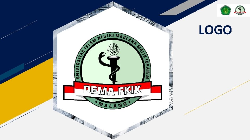 DEWAN EKSEKUTIF MAHASISWA Fakultas Kedokteran dan Ilmu Kesehatan