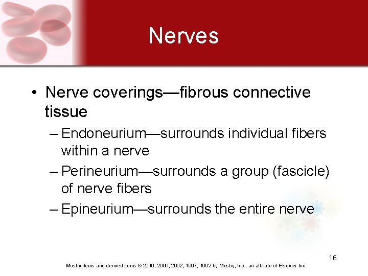Chapter 9 The Nervous System Mosby items and