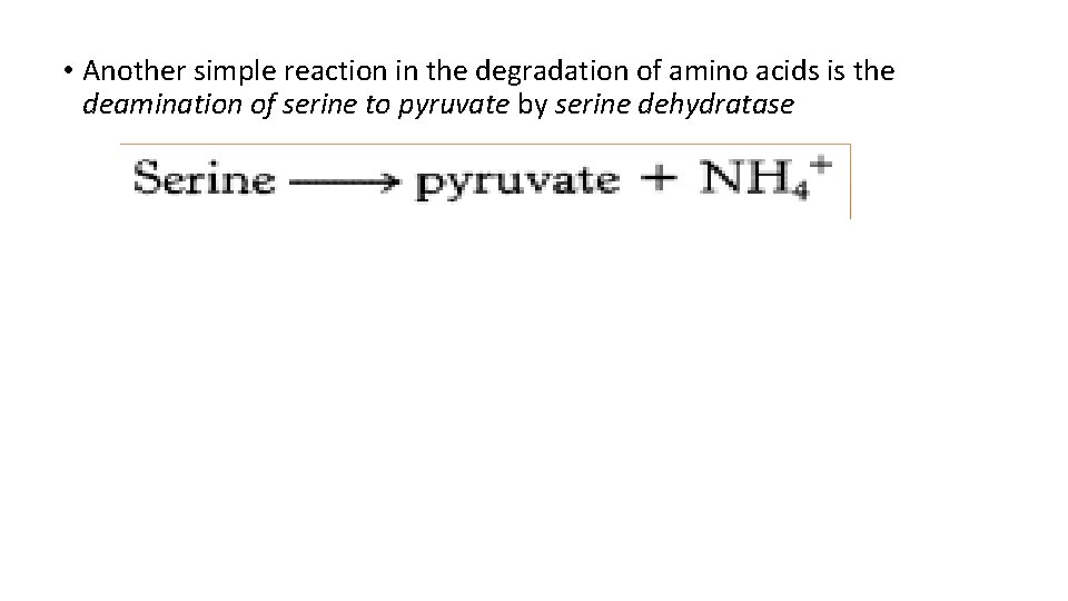Amino Acid Biosynthesis Degradation Learning Objectives 1 Know