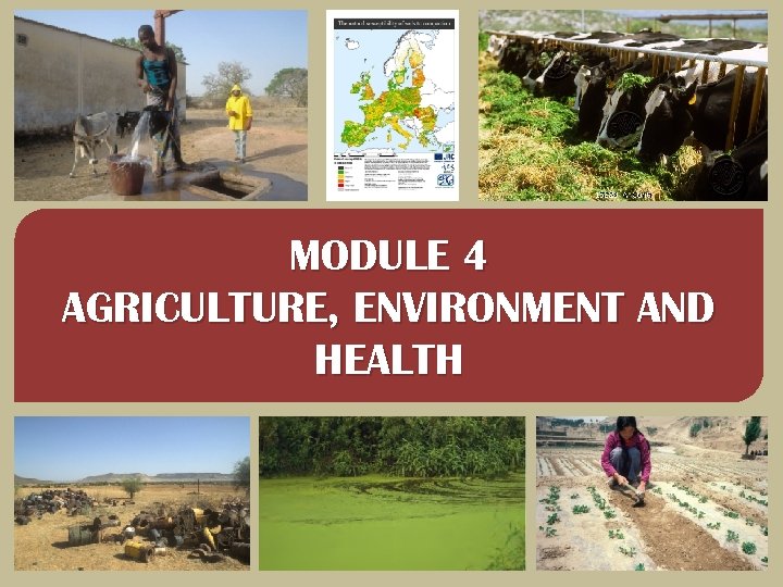 MODULE 4 AGRICULTURE ENVIRONMENT AND HEALTH Module objectives