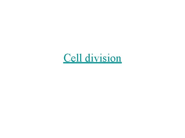 Chapter 12 The Cell Cycle Cell Division Zebra