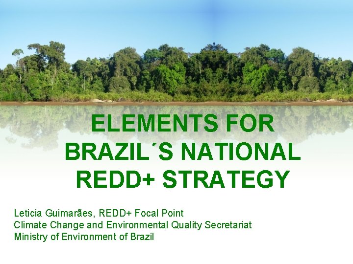 ELEMENTS FOR BRAZILS NATIONAL REDD STRATEGY Leticia Guimares