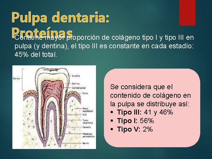 Grupo 3 Seccin 1500 Bioqumica del Diente Esmalte