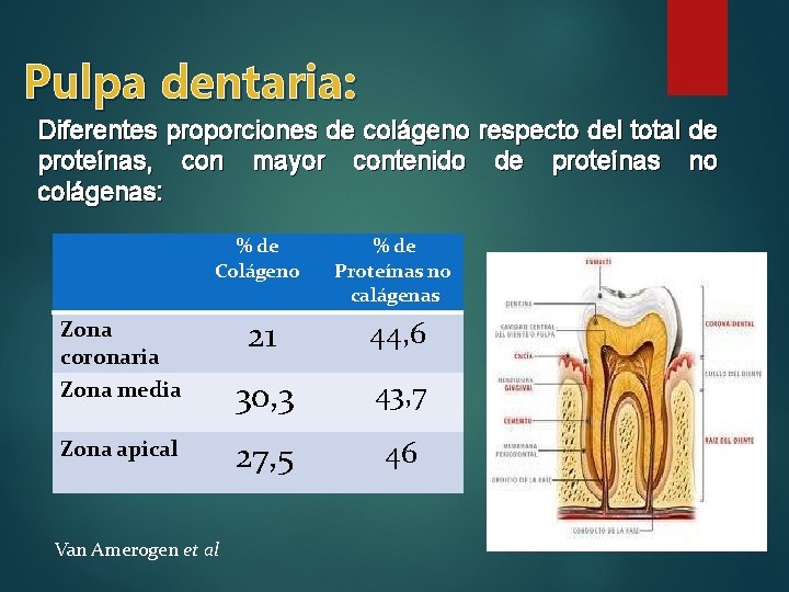 Grupo 3 Seccin 1500 Bioqumica del Diente Esmalte
