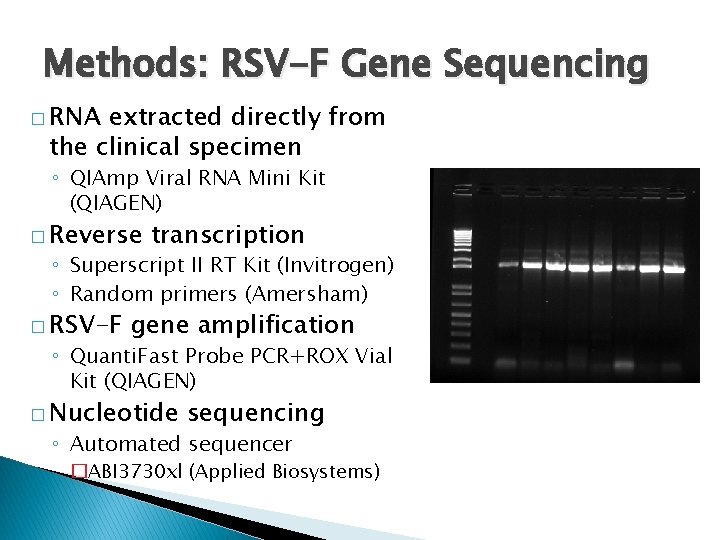 Molecular evolution of respiratory syncytial virus fusion gene