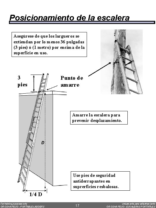 Escaleras Porttiles Portable Ladders Con Diccionario Bilinge With