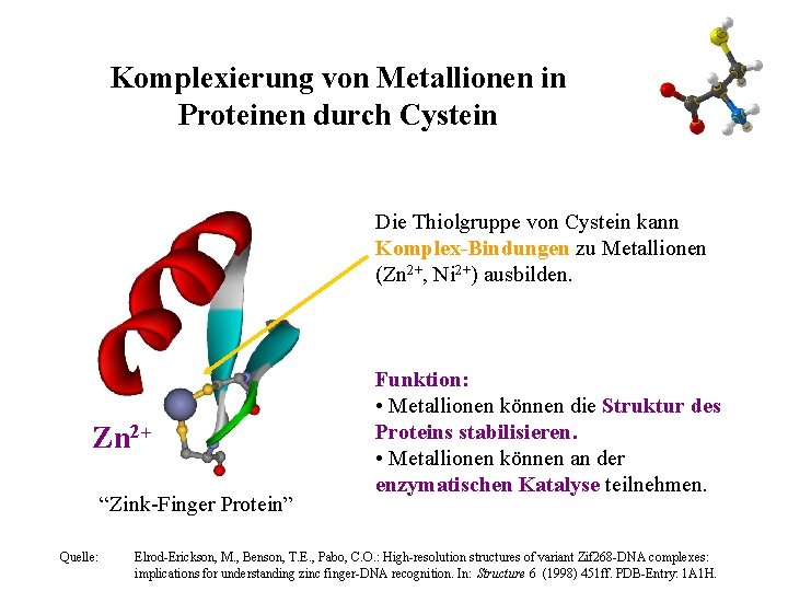 Cystein die einzige Aminosure mit einer freien Thiolgruppe