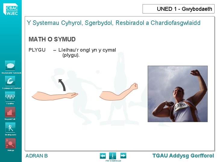UNED 1 Gwybodaeth Y Systemau Cyhyrol Sgerbydol Resbiradol