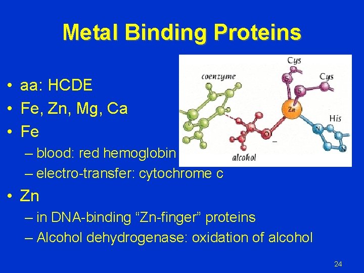 Structure and Function of Proteins Ora SchuelerFurman 2009