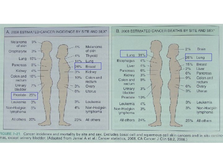 NEOPLASIA II III Pongsak Mahanupab M D connectnigeria