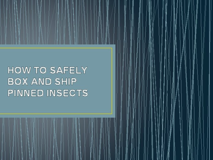 HOW TO SAFELY BOX AND SHIP PINNED INSECTS